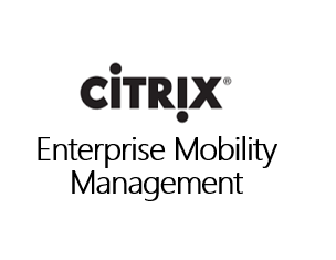 Citrix – Cartel Network Solutions Pvt Ltd